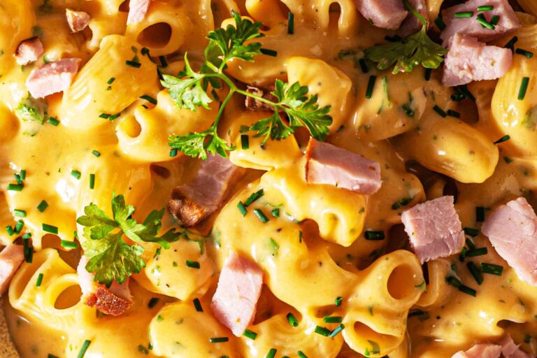 Pasta with Cheese Sauce - How To Make Recipes
