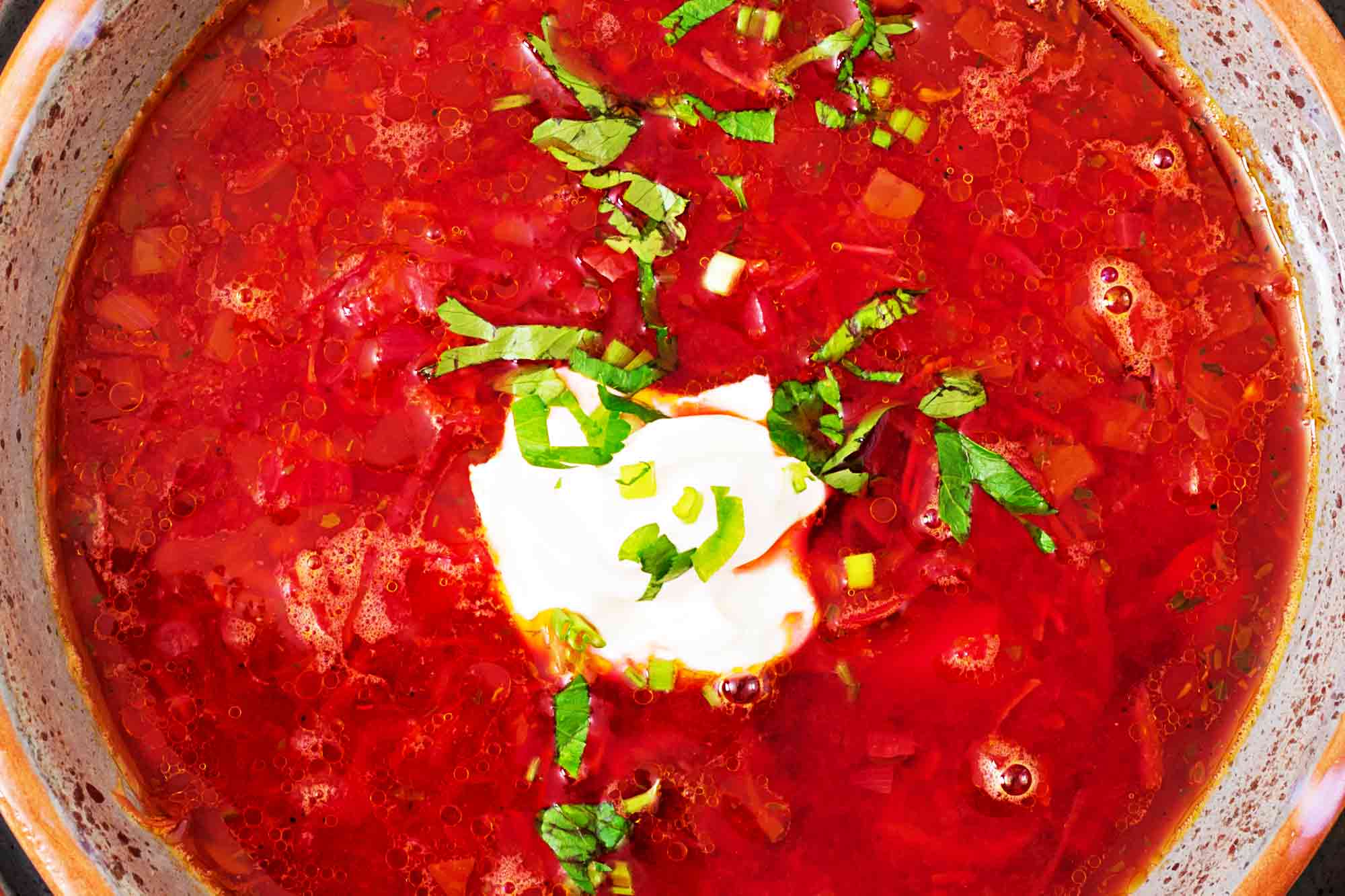 Easy, Homemade Borscht - How To Make Recipes